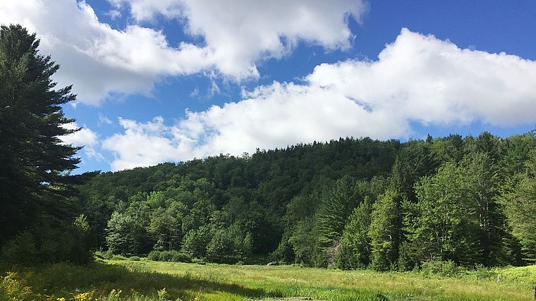 JULT: Jericho Underhill Land Trust in Vermont